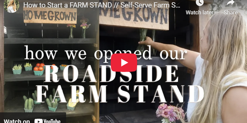 How to Start a Farm Stand Tractor Ranch Company Phoenix, AZ (602) 734-9944