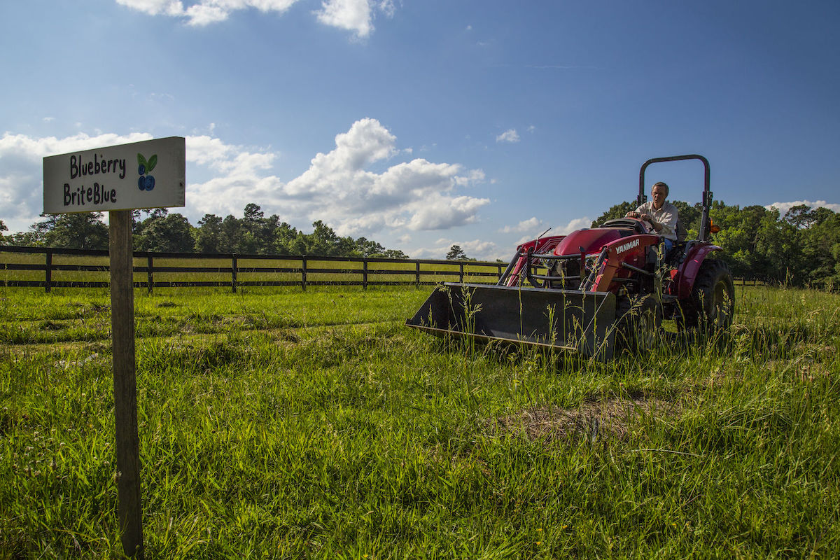How to Create a Self-Sufficient Homestead Tractor Ranch Company Phoenix ...