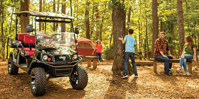 How To Test Golf Cart Motors Power Equipment Solutions - Dayton ...