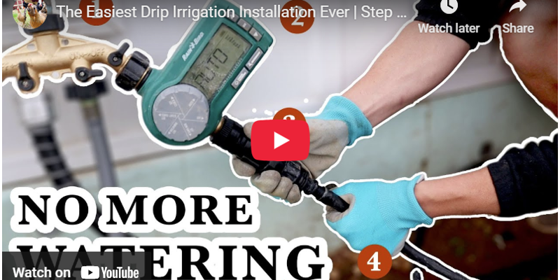 How to Install Drip Irrigation Tractor Ranch Company Phoenix, AZ (602 ...
