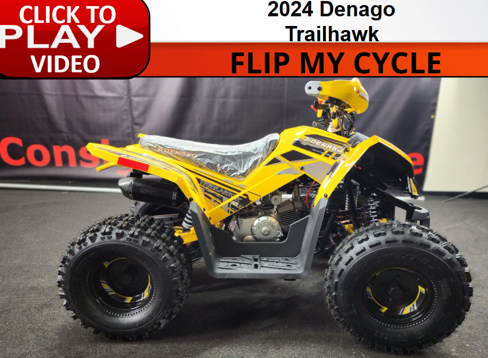 Unveiling the 2024 Denago Trailhawk: The Ultimate Youth Quad for Looks ...