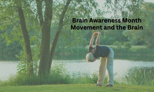 Movement and the Brain