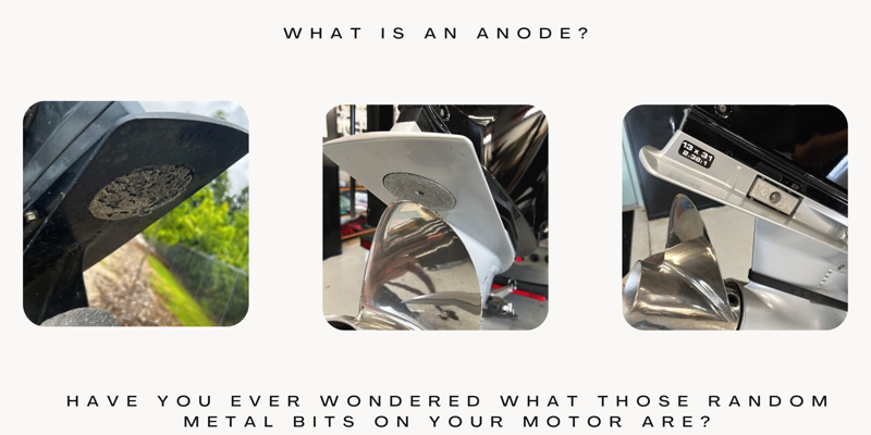 What Is An Anode?