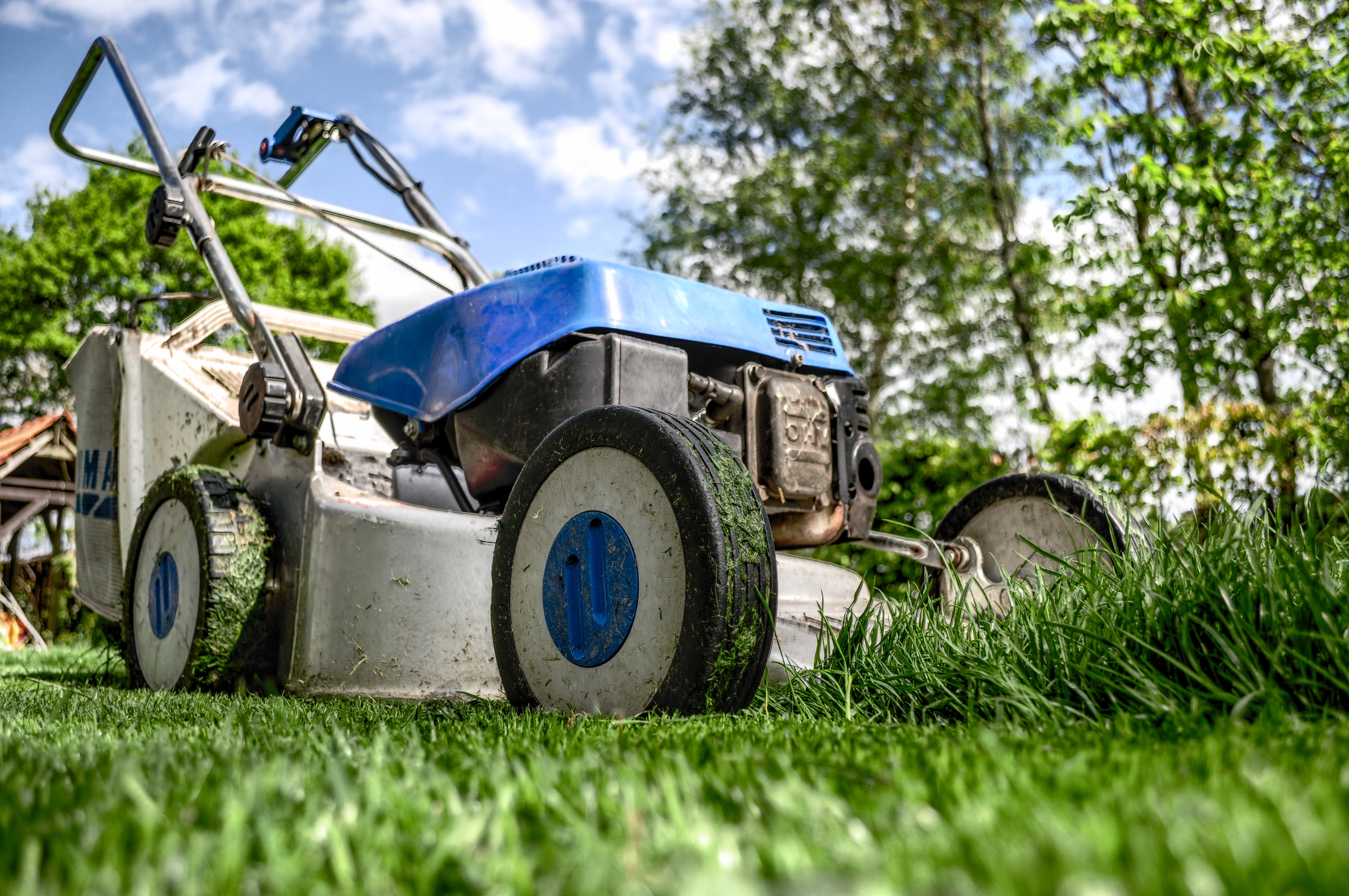 Choosing a Lawn Mower | Black Swamp Equipment