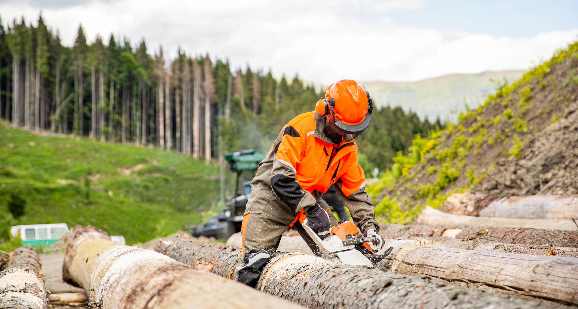 Chainsaw Operating Tips | Toledo, OH | Adrian, MI
