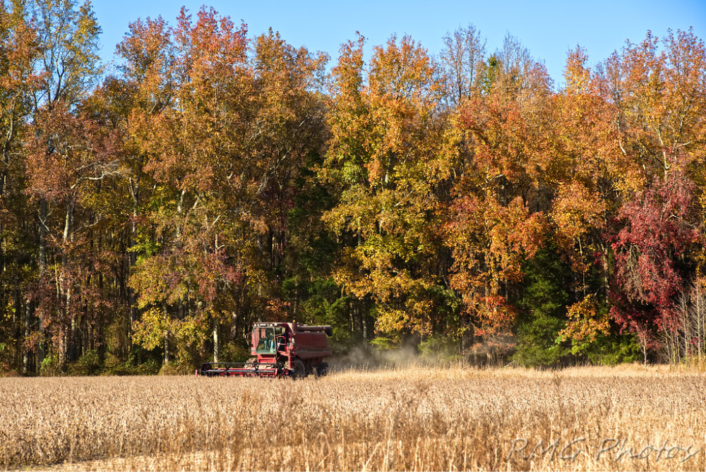 When is Harvesting Season? 49-Year Veteran Explains