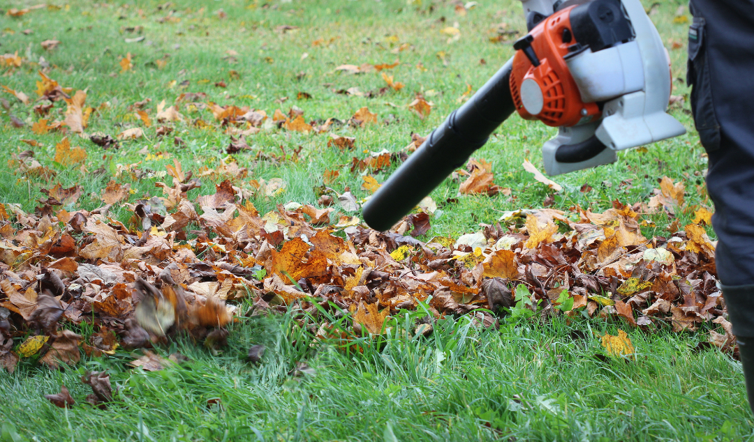 Tips and Tricks to Make Fall Leaf Removal a Breeze