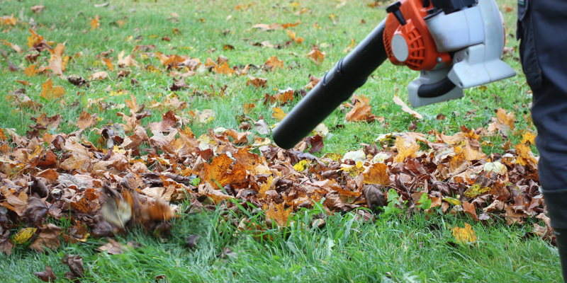 Tips and Tricks to Make Fall Leaf Removal a Breeze